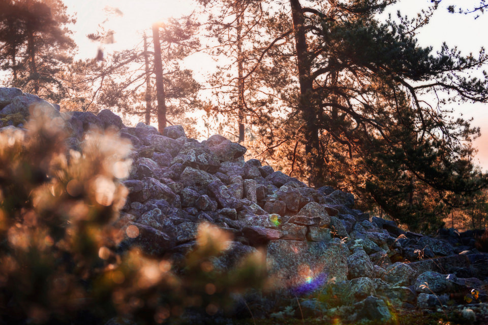 Bronsålders­gravrösena i Sammal­lahden­mäki | Föreningen för Finlands ...